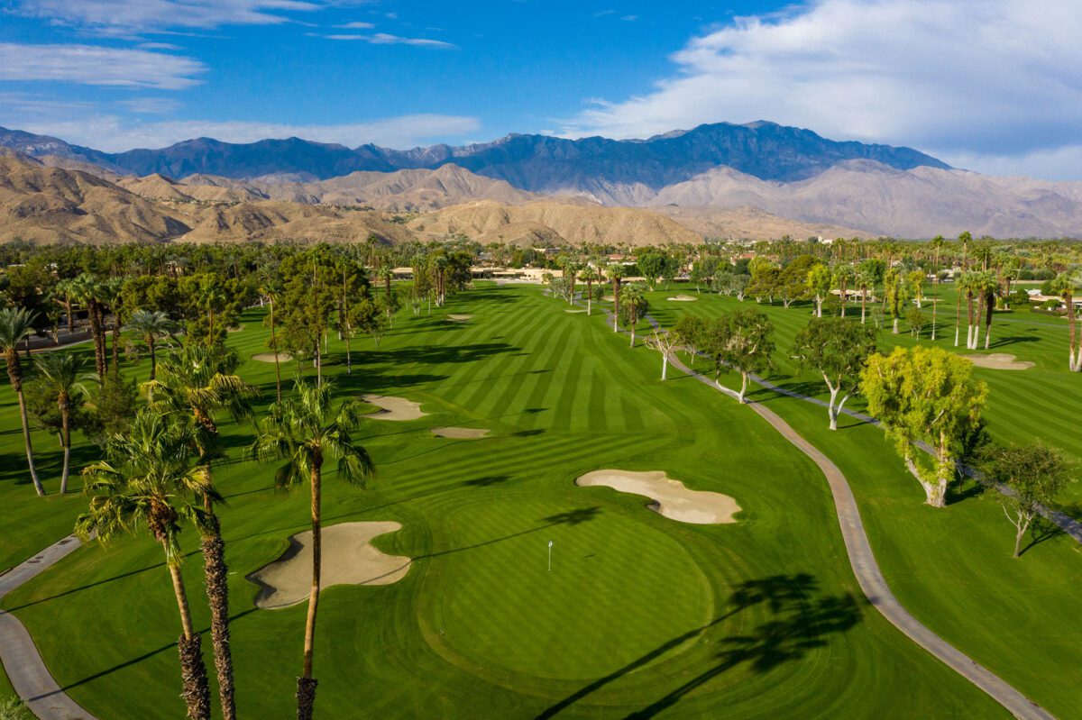 Long Live the Long Shot - Walk Our Greens