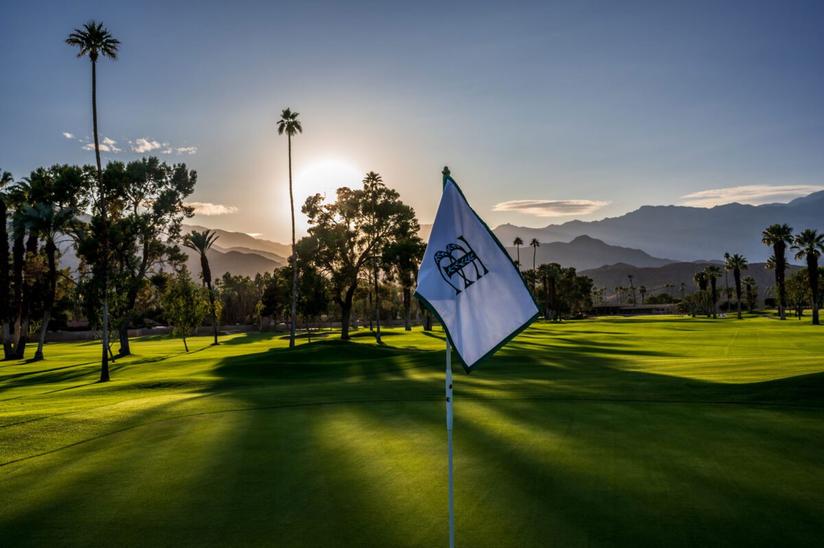 Long Live the Long Shot - Walk Our Greens