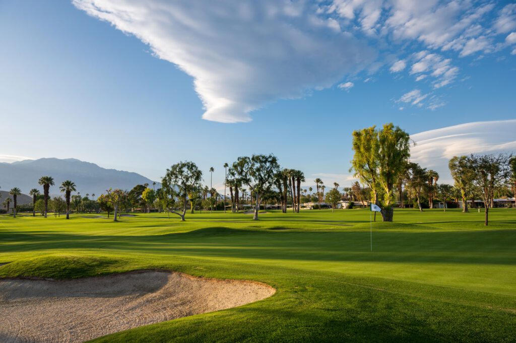 Long Live the Long Shot - Walk Our Greens