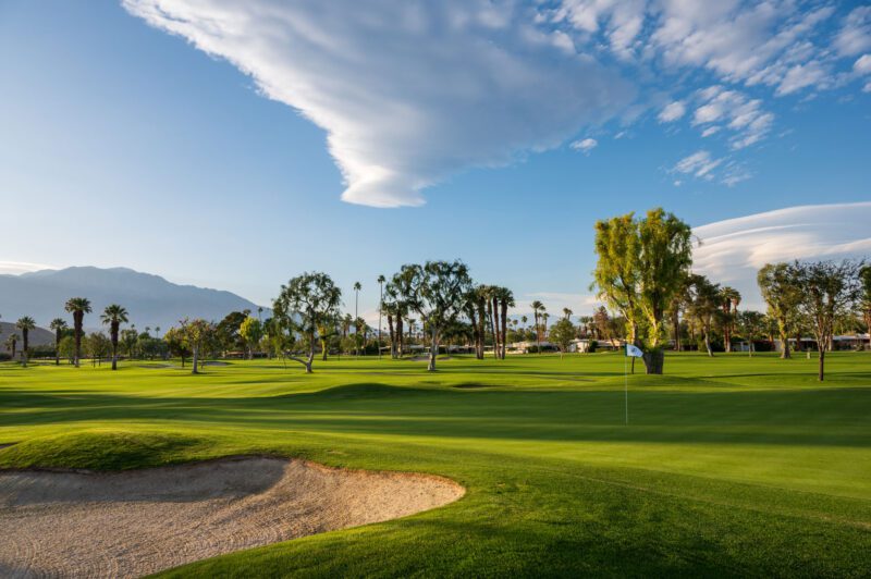 Long Live the Long Shot - Walk Our Greens